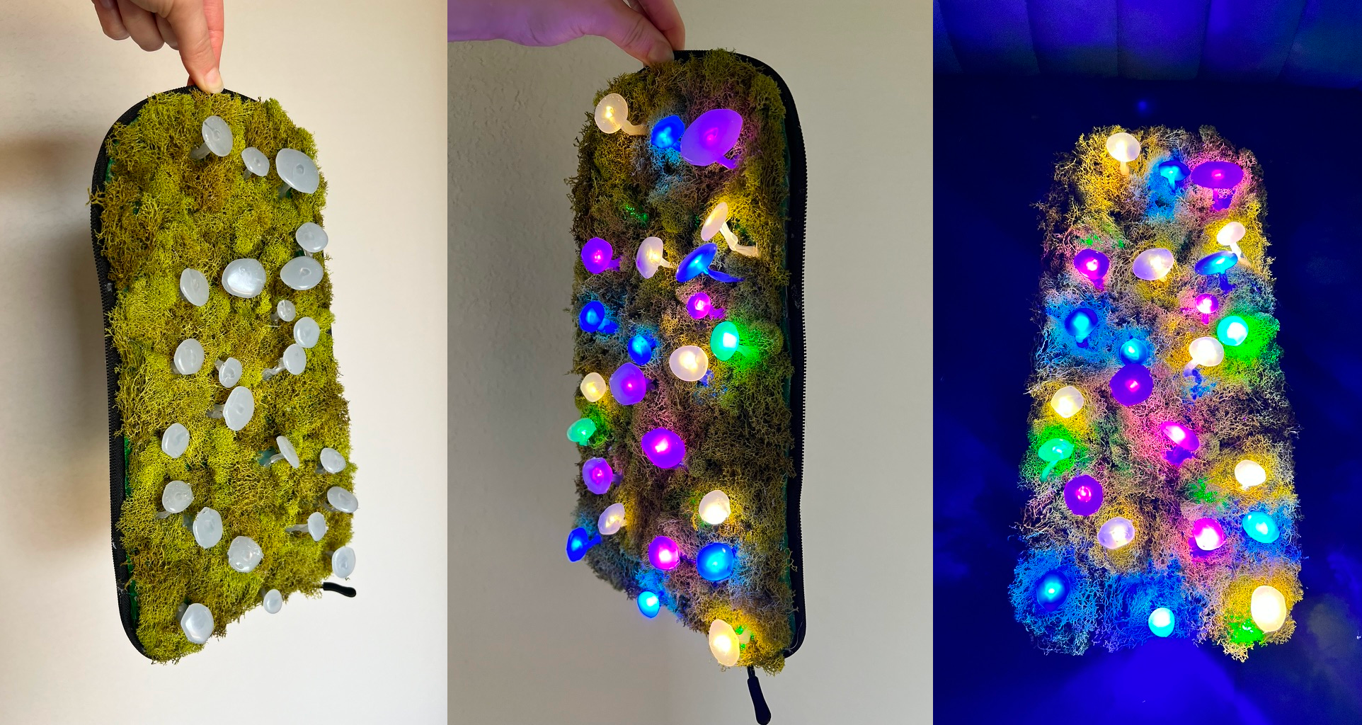 Blogs - Lunchbox Packs