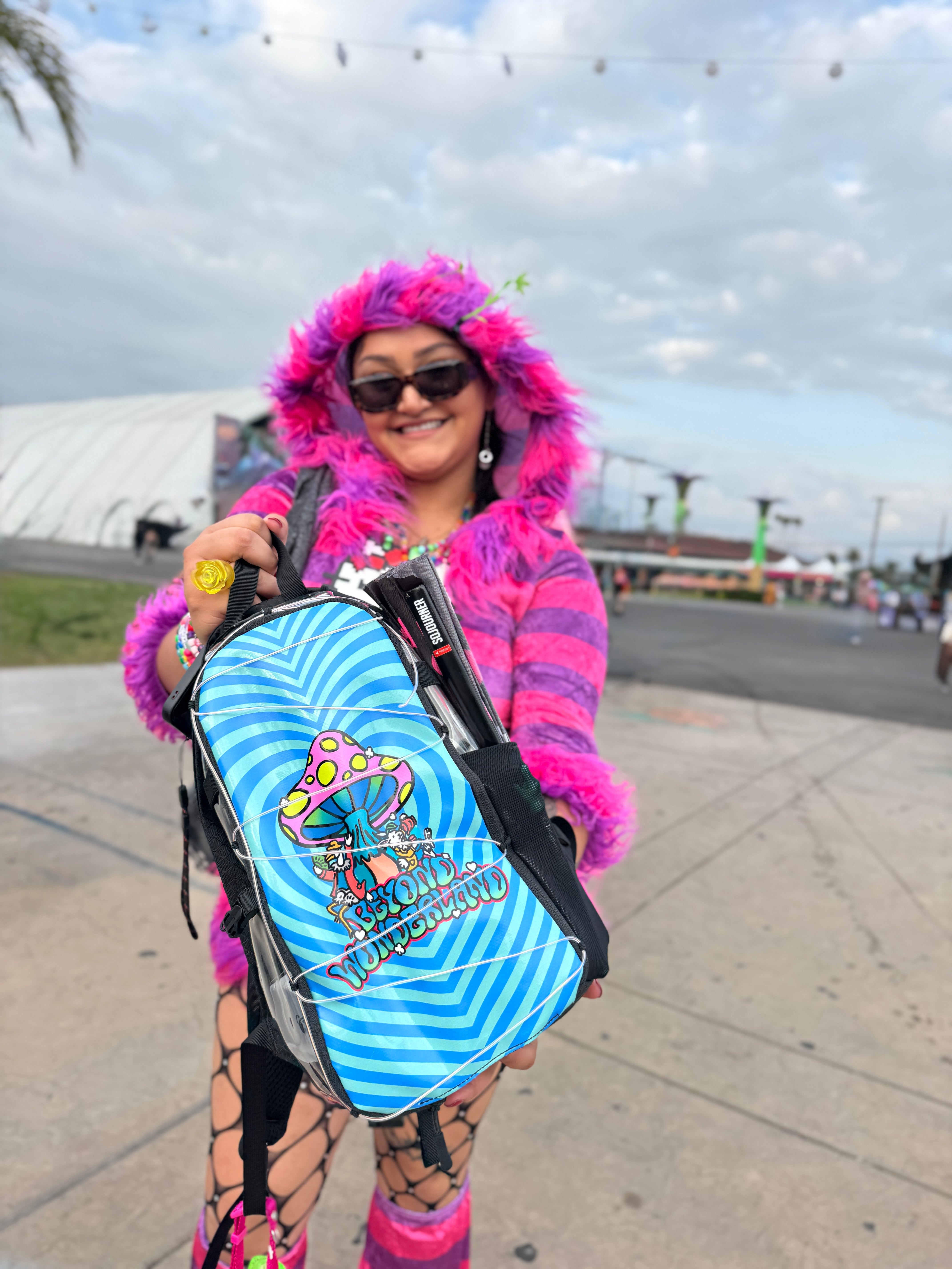 Beyond Wonderland Skin – Lunchbox Packs